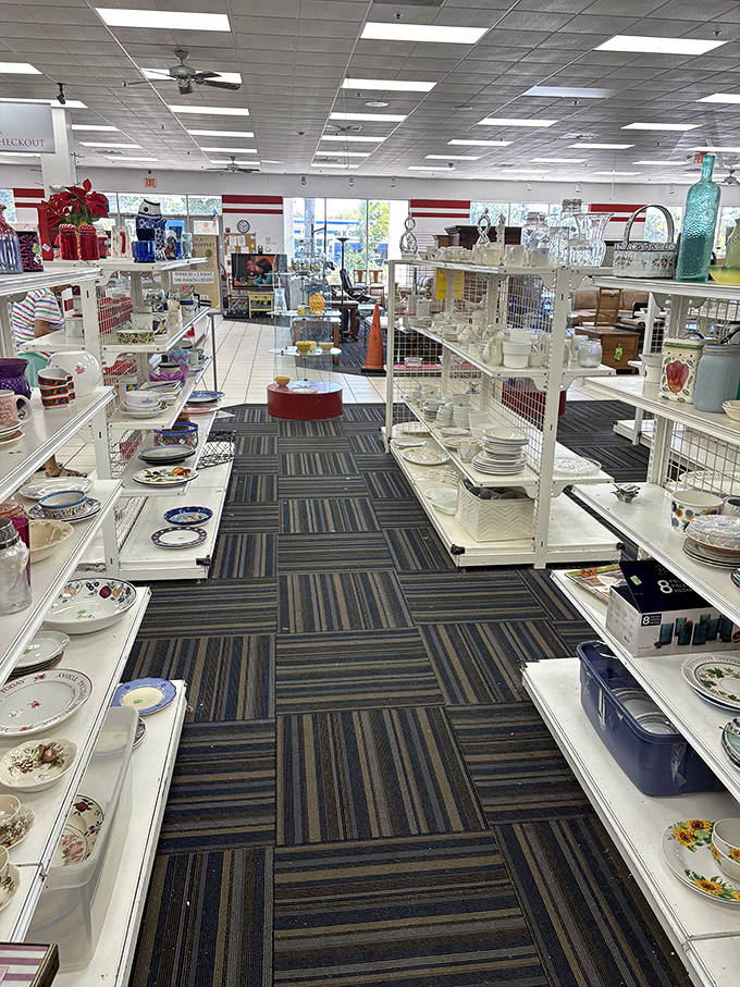 Dish heaven! Vintage patterns and everyday plates coexist in perfect harmony, waiting to host your next dinner party or midnight snack.