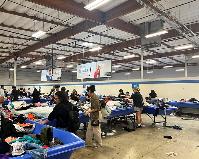 Treasure hunters navigate the sea of blue bins like archaeologists at a dig site. Each piece of clothing holds potential for discovery.