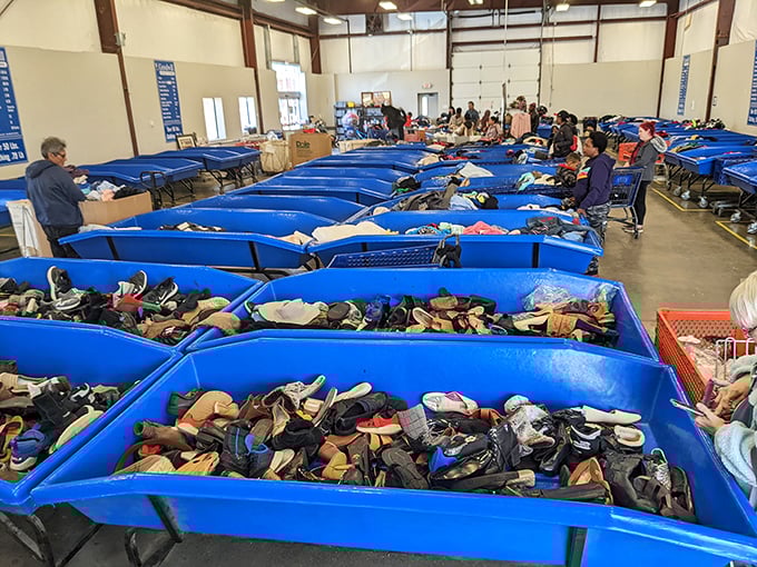 Blue bins as far as the eye can see &ndash; each one a potential goldmine where yesterday's castoffs become tomorrow's prized possessions.