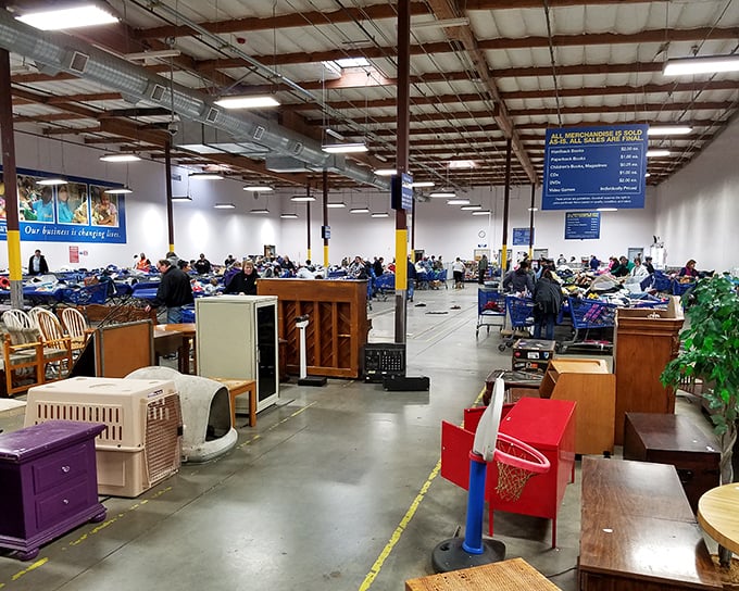 A warehouse wonderland stretches before you&mdash;furniture, clothing bins, and possibilities as far as the eye can see.