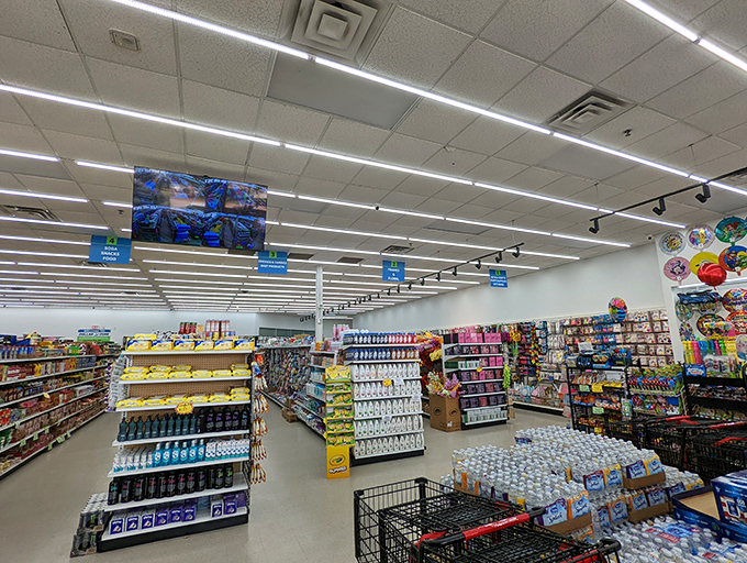Aisles stretching toward the horizon like Texas highways, each one a different journey through the land of affordability.