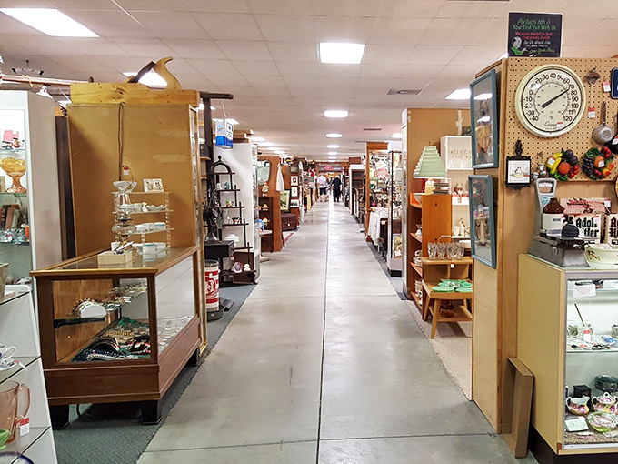 Aisles that stretch toward infinity, where time travel is as simple as turning a corner into another vendor's carefully curated universe.