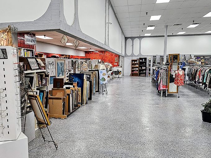Wide aisles and organized chaos &ndash; the thrift store equivalent of having your cake and actually finding the plate to eat it on.