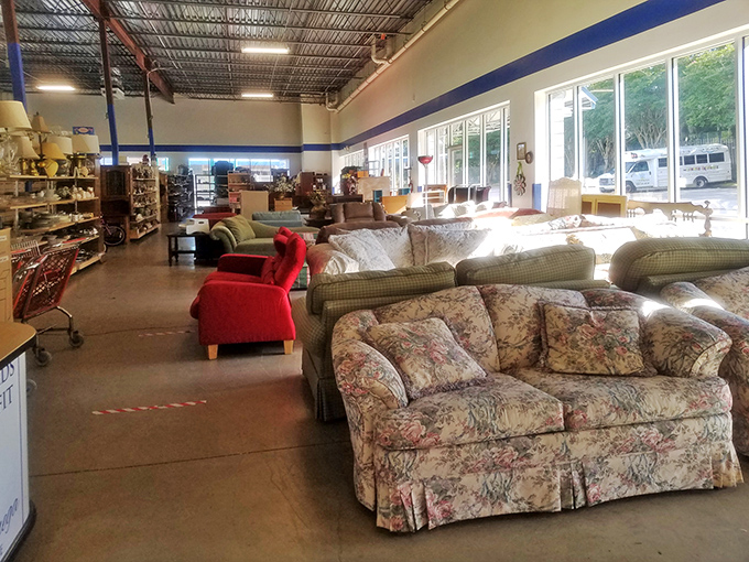 Sofa safari at its finest! Each floral-patterned couch tells a story and waits patiently for its second act in someone's living room.