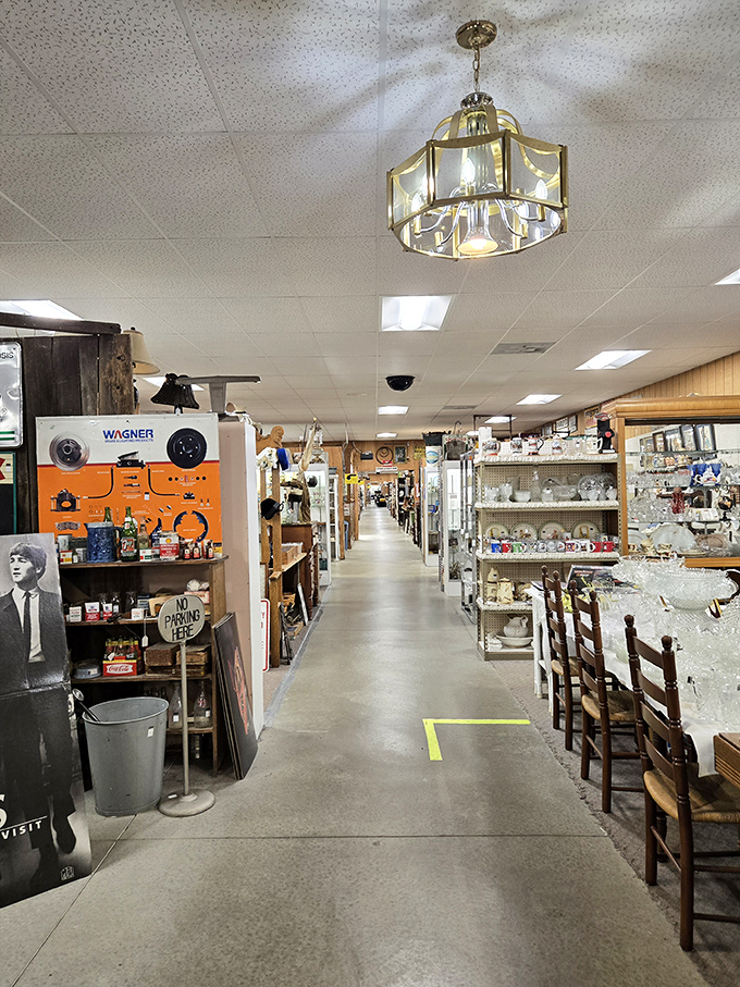 Aisles that seem to extend into infinity, each turn promising new discoveries and unexpected finds from decades past.