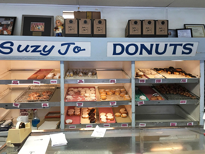 Behold the wall of temptation! Each shelf offers a different path to donut nirvana, with classics and specialties lined up like sugary soldiers.