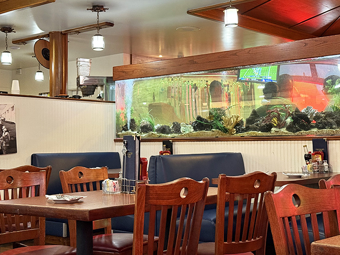 Those wooden chairs and that aquarium have witnessed more first dates than a romantic comedy marathon.