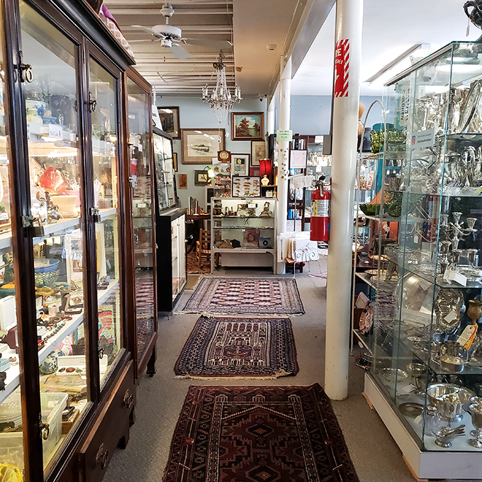 Oriental rugs guide you through corridors of curiosities, where chandeliers cast that perfect amber glow that makes everything look more valuable.