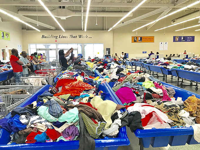 Treasure hunting in its purest form. These blue bins aren't just containers&mdash;they're portals to affordable possibilities where one person's castoffs become another's jackpot.