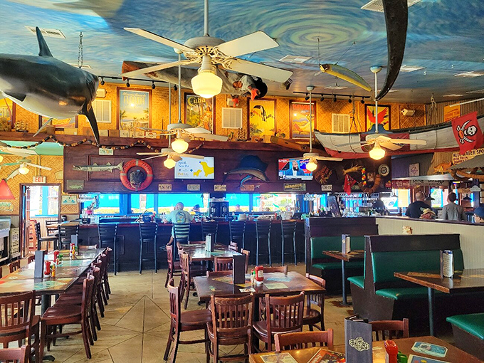 Dining under a shark might seem risky, but the only danger here is falling in love with the whimsical nautical decor that transforms dinner into an underwater adventure.