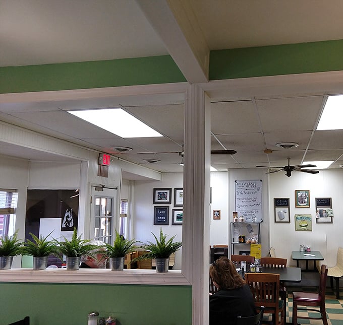Green accents and potted plants create that "grandma's kitchen meets modern diner" vibe. The kind of place where comfort doesn't just describe the food.