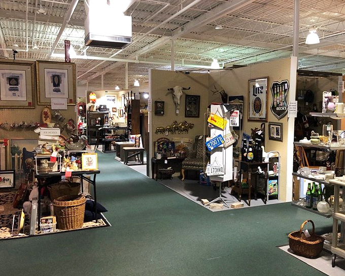 Vendor booths create a treasure map of possibilities, each turn revealing collections curated with passion and an eye for nostalgia.