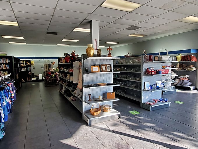 Aisles of possibility stretch before you. Each shelf holds someone's past ready to become part of your future—at prices that'll make your wallet smile.