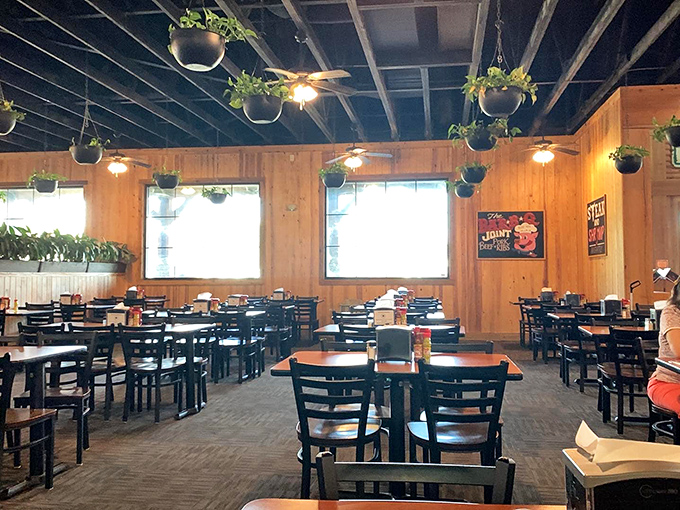Hanging plants and wood-paneled walls create that "grandma's dining room got supersized" vibe where calories don't count and second helpings are practically mandatory.