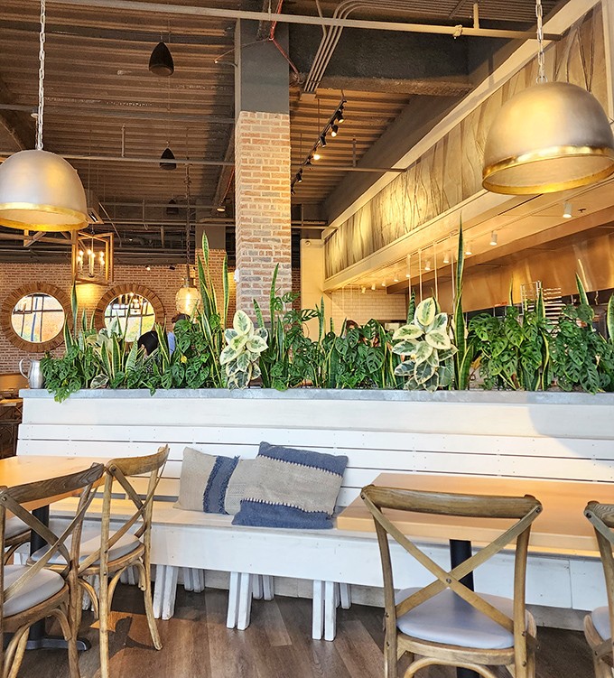Plant life meets stylish design in this airy interior. Those gold-lined pendant lights cast the kind of glow that makes everyone look like they've just returned from vacation.