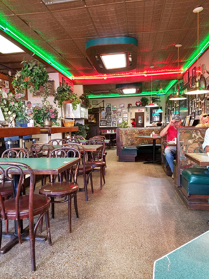 Step inside and the Christmas-colored neon lighting frames a diner where time stands deliciously still. Those hanging plants have probably heard every town secret.