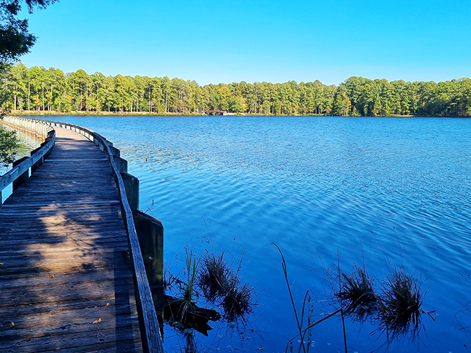 Lake Juniper stretches out like nature's infinity pool. The kind of blue that makes you forget your inbox exists.