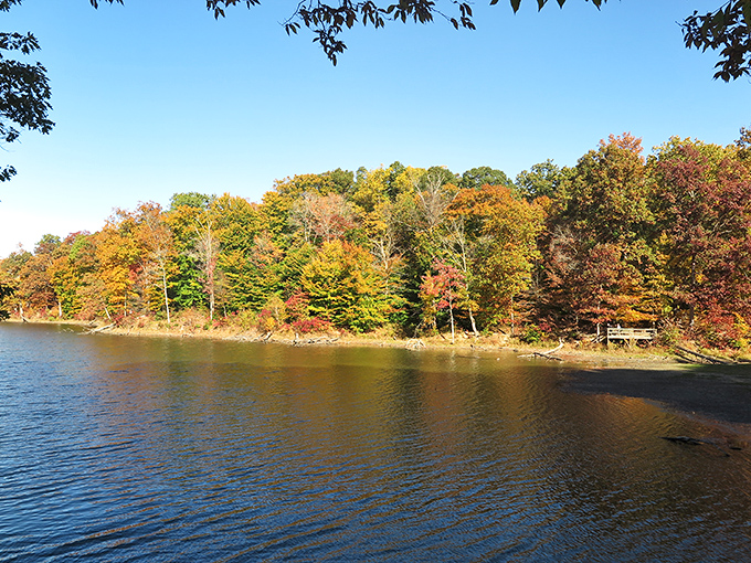 Nature's color palette goes wild along the shoreline, where every shade of fall competes for your attention like a botanical fashion show.