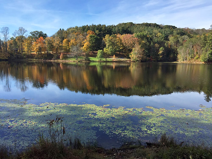 Those perfectly positioned picnic tables know exactly what view sells real estate in paradise.
