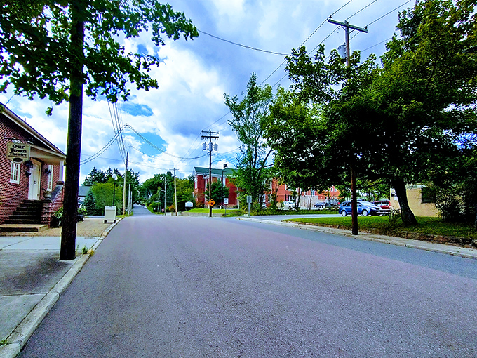 Tree-lined streets and blue skies frame Oakland's peaceful neighborhoods, where porch-sitting could qualify as the unofficial town sport.