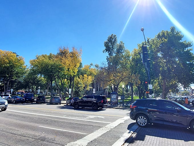Courthouse Plaza on a perfect Arizona day. Where locals gather to debate important matters like which nearby café makes the best pie.