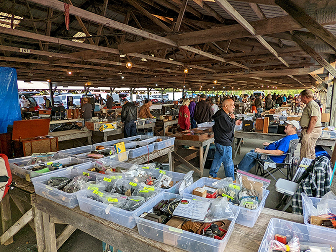 Organized chaos at its finest&mdash;plastic bins filled with potential treasures await the patient explorer willing to dig.