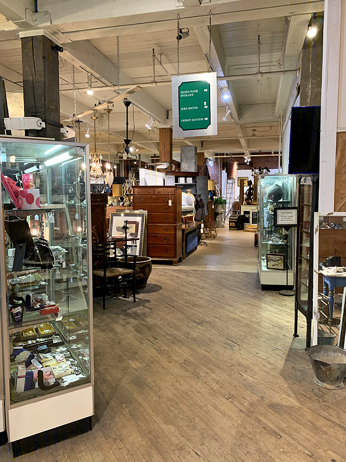 Wooden floors that have witnessed decades of footsteps lead you through aisles of carefully curated curiosities. Every turn promises a new discovery.