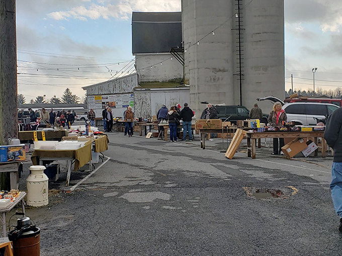 Between weathered silos and makeshift tables, the real treasures at Root's are the stories behind each forgotten item.