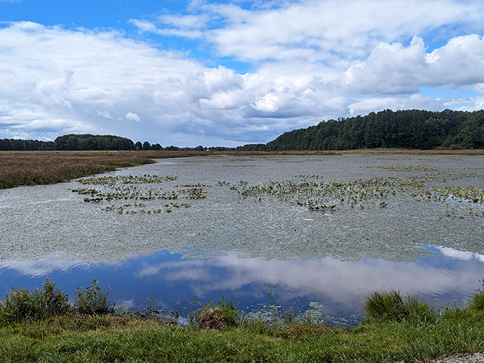 Nature's retirement plan includes tranquil wetlands like this one in Ashtabula County, where the sky's reflection creates a double dose of serenity.
