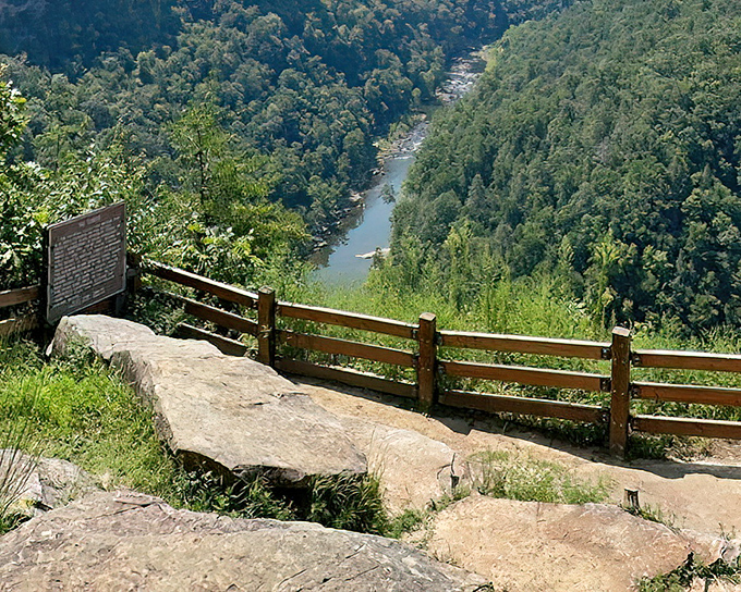 That stone bench isn't just practical seating &ndash; it's nature's VIP box for one of the most spectacular shows on the East Coast.
