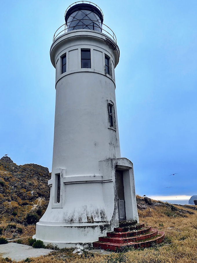 Like a solitary chess piece on nature's board, the lighthouse commands its rocky perch with quiet dignity and spectacular ocean views.