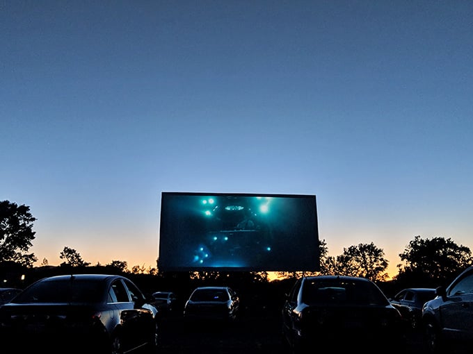 That magical moment when dusk surrenders to darkness and the screen illuminates with otherworldly glow. Suddenly, everyone's face is bathed in the same cinematic light.