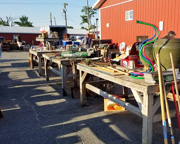 Morning light catches colorful hula hoops and garden tools on weathered tables&mdash;the calm before the bargain-hunting storm begins.