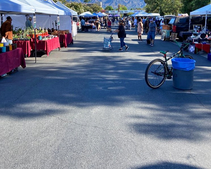 Morning sunshine illuminates the market's arteries, where shoppers navigate between tents like urban explorers on the trail of their next great find.