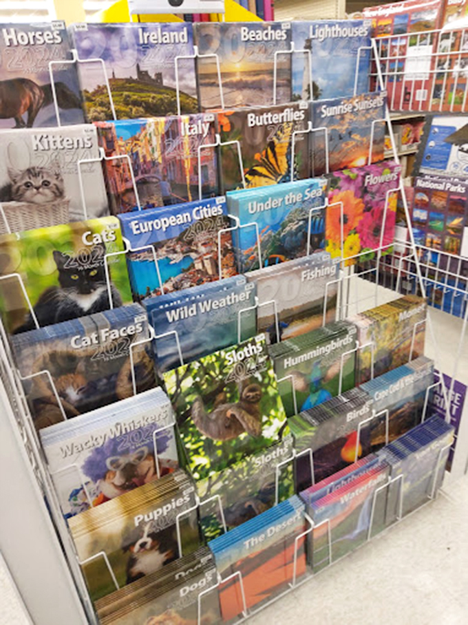 Calendar heaven awaits! From sloths to European cities, your wall-hanging options span continents, species, and every possible feline facial expression.