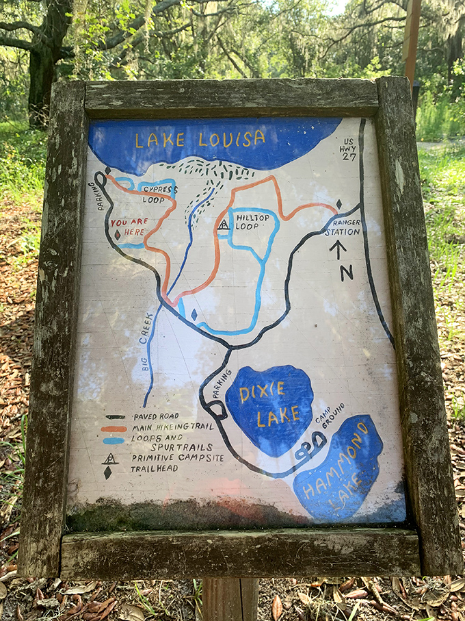 "You are here" &ndash; the most reassuring words for hikers. Lake Louisa's charming hand-painted trail map shows the park's lakes and loops with old-school simplicity.