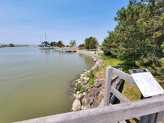 Maritime dreams come true at the park's marina, where boats bob gently against the backdrop of Lake Erie's vast horizon.