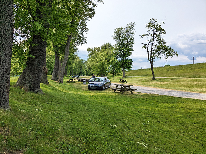 These picnic tables aren't just furniture&mdash;they're front-row seats to nature's greatest show, with century-old trees providing the ultimate shade canopy.