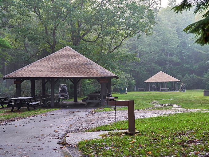 Morning mist hovers over these picnic pavilions like nature's own air conditioning. Bring sandwiches, leave with memories. 