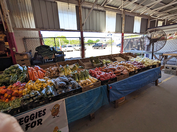 Nature's color palette on full display! These farm-fresh fruits and vegetables make grocery store produce look like it's been through witness protection.
