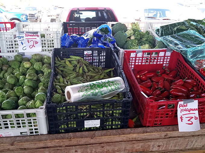Nature's color palette on full display. These farm-fresh vegetables aren't just food&mdash;they're conversation starters with the farmers who grew them.