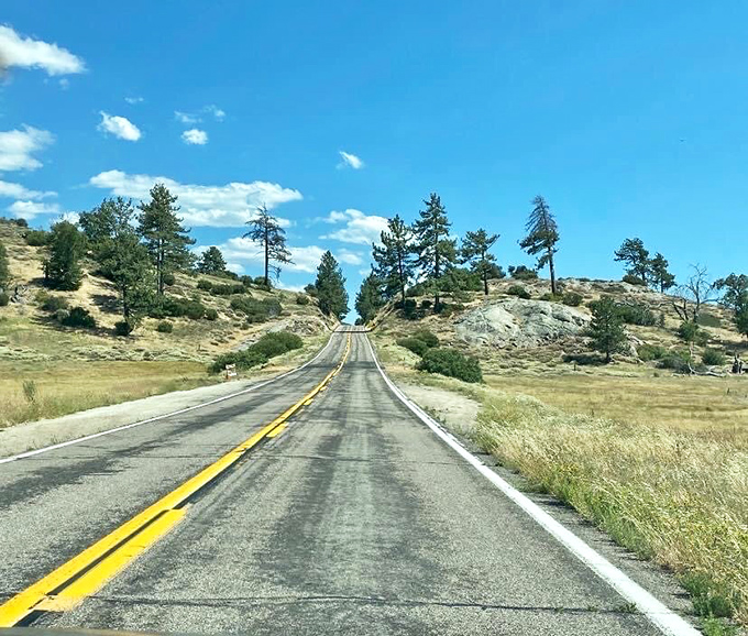 Where the asphalt meets the sky. This stretch of S1 offers the kind of views that make passengers frantically reach for their cameras.