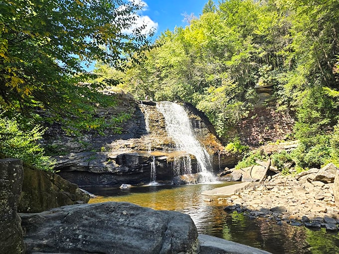 Muddy Creek Falls plunges 53 feet into a crystal-clear pool, offering Maryland's version of a natural spa treatment.