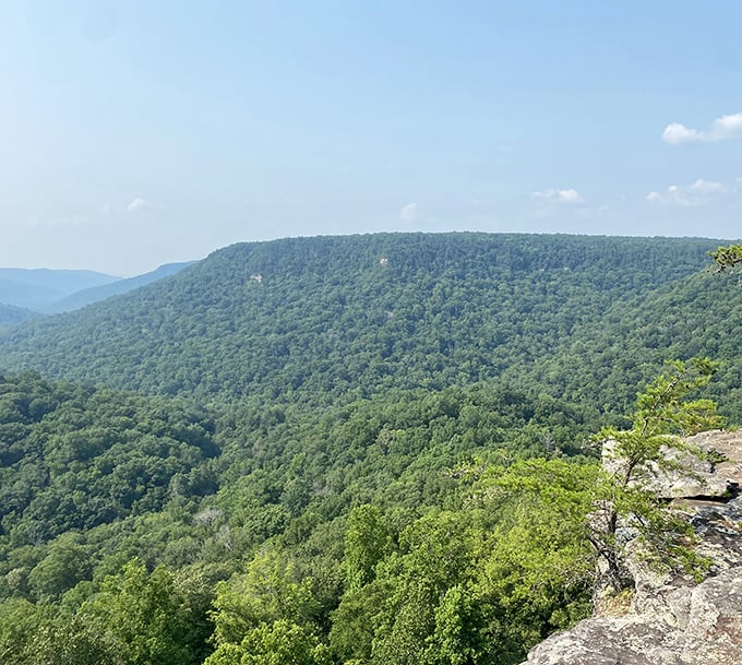 The Cumberland Plateau unfolds like nature's own IMAX screen, with layers of green stretching to the horizon in a display that no smartphone camera can truly capture.