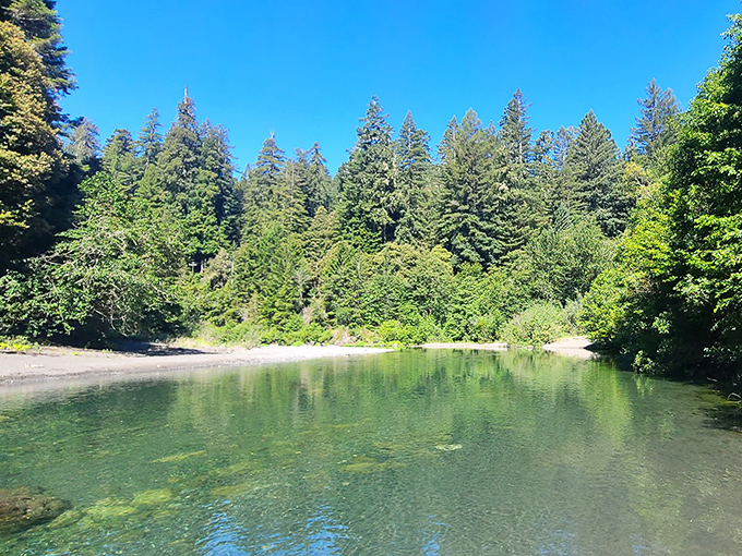 Nature's swimming pool awaits! Crystal-clear waters reflect the surrounding forest canopy, offering a refreshing respite that no luxury resort could ever replicate.