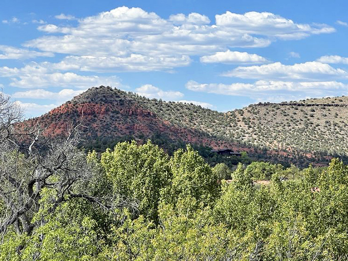 Those red rocks rising from green valleys look like Earth decided to show off its best jewelry collection.