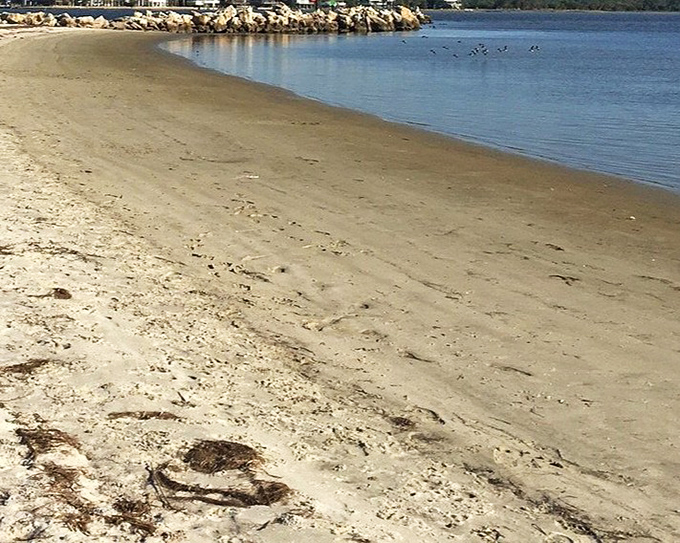 A quiet stretch of sandy shoreline where gentle waves invite you to unplug and just wander.