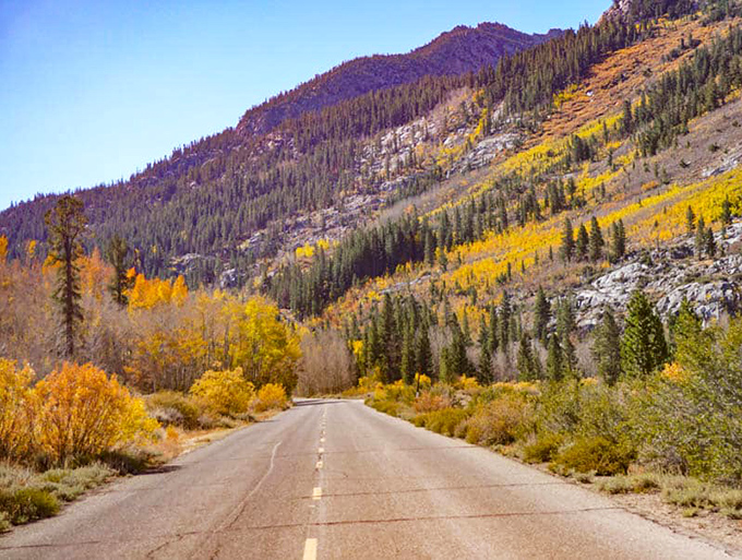 Fall's paintbrush transforms the Eastern Sierra into a kaleidoscope of yellows and oranges &ndash; nature's way of showing off before winter arrives.