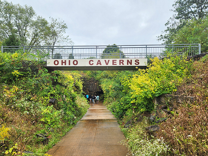 The entrance bridge promises adventure below, like a portal to another world hiding just beneath Ohio's pastoral landscape.