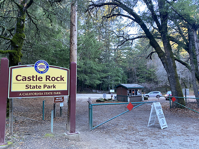 The gateway to geological wonders. Like finding the entrance to Narnia, but instead of a wardrobe, it's this unassuming sign in Los Gatos.